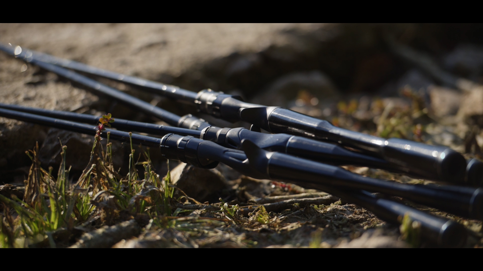 Shimano reaches ‘pinnacle’ in predator rod design - Angling International