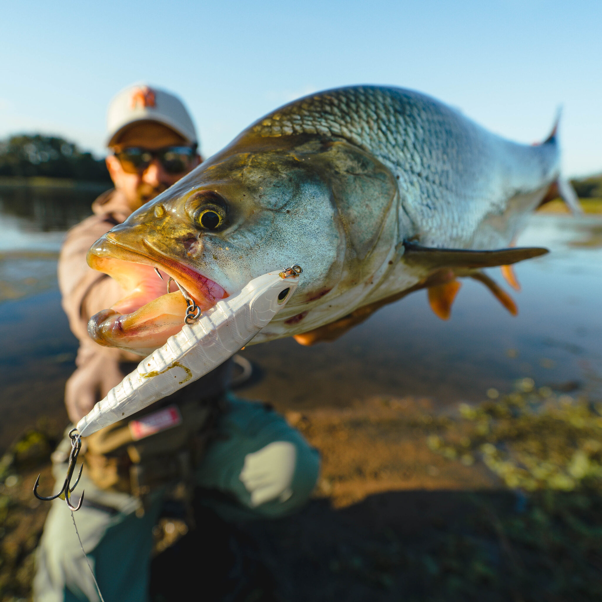 Nays targets Europe with unique range of fishing tackle - Angling ...